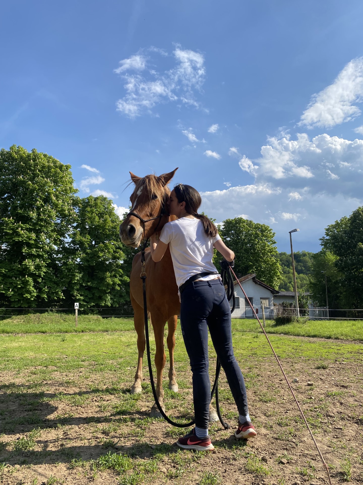 Nejra Pinjo - certificirana instruktorica terapijskog jahanja - Furaj.ba